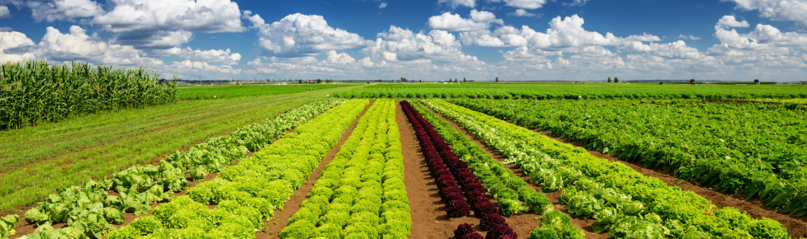 Home | School of Agricultural Sciences | Natural Sciences | North-West ...